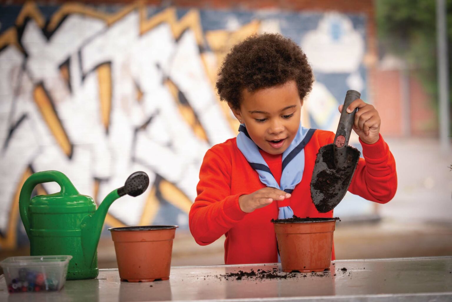 Greater London North Scout County | Skills for Life